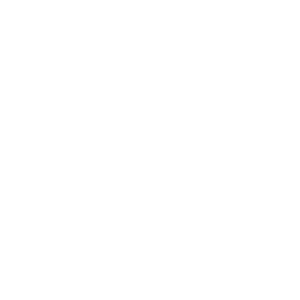 Prácticas Profesionales Icp